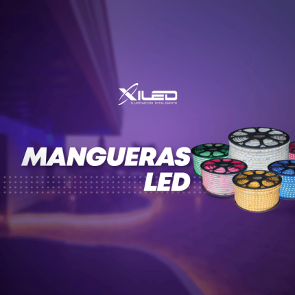 Inicio – Electroxiled