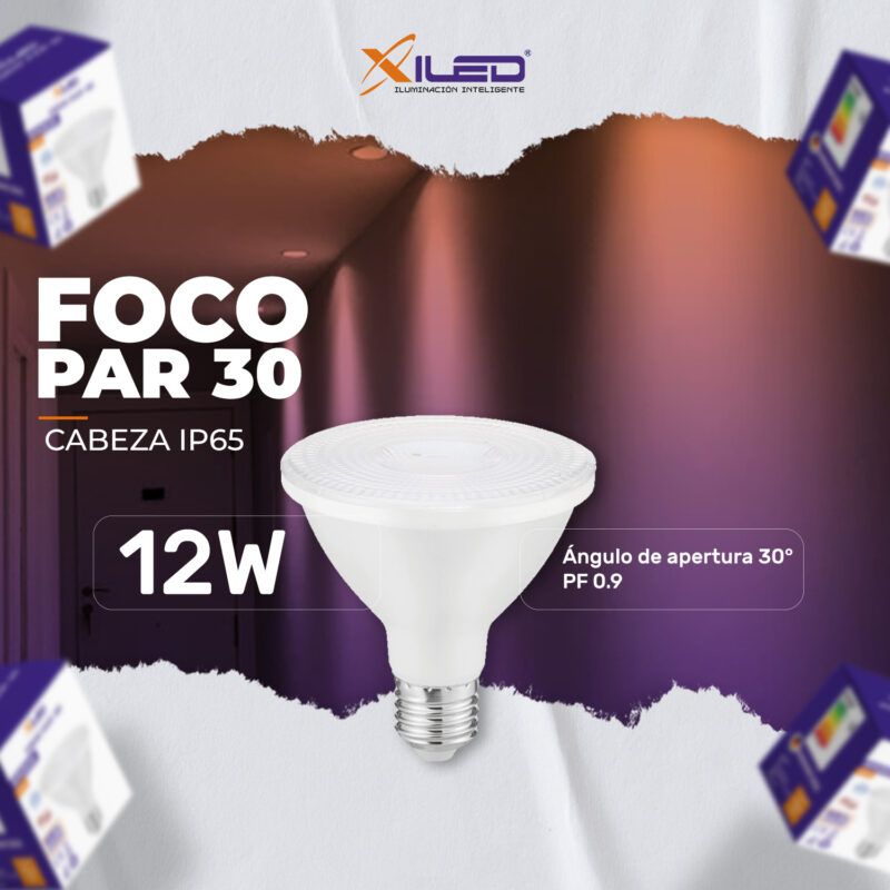 FOCO PAR 30 – Electroxiled